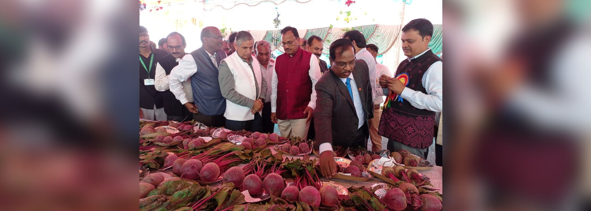 Dr. Rajendra Prasad Central Agricultural University – Pioneer ...